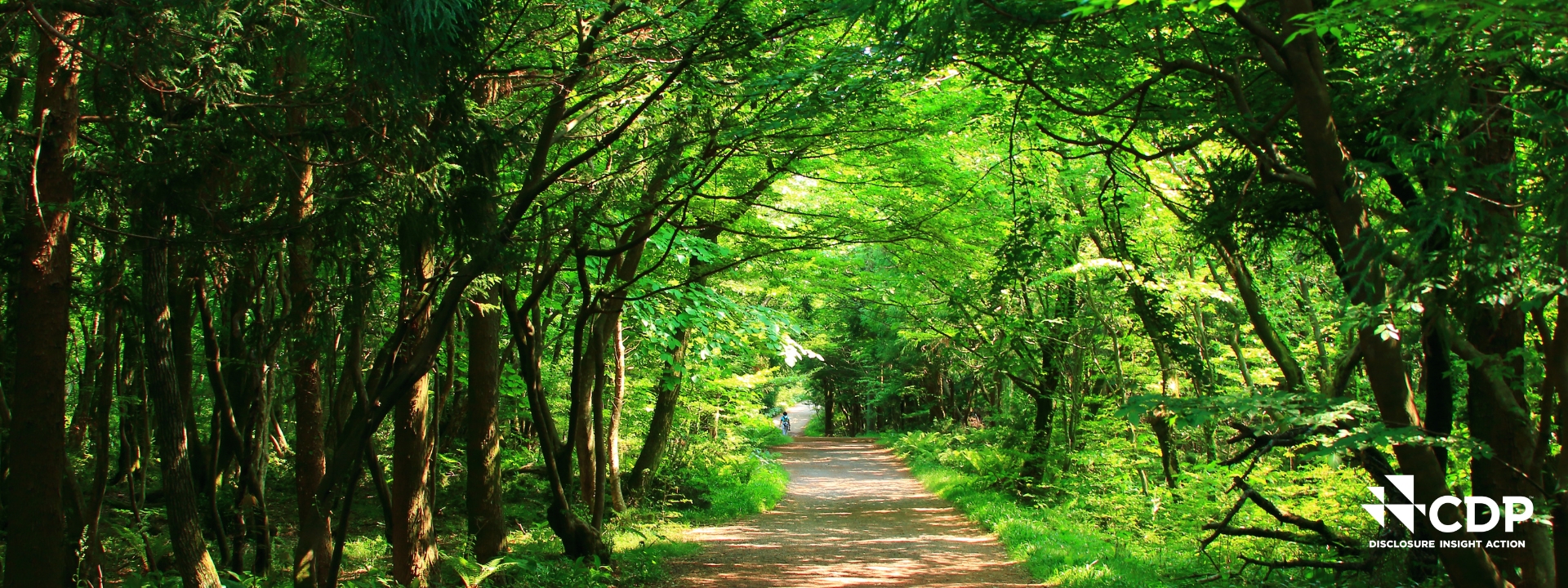 Experience in Motion | Yanfeng Corporate Website